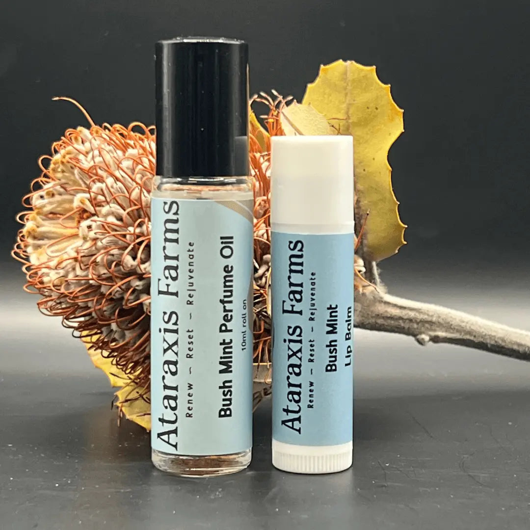 Bush Mint Perfume Oil & Lip Balm Gift Pack – Natural Care | Ataraxis Farms